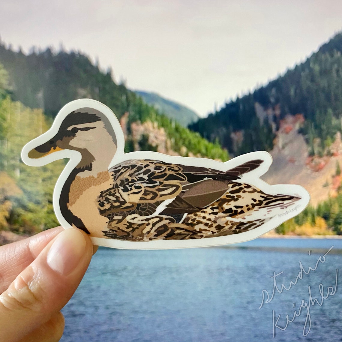 Lady Mallard Sticker Vinyl Sticker Duck Sticker Laptop | Etsy