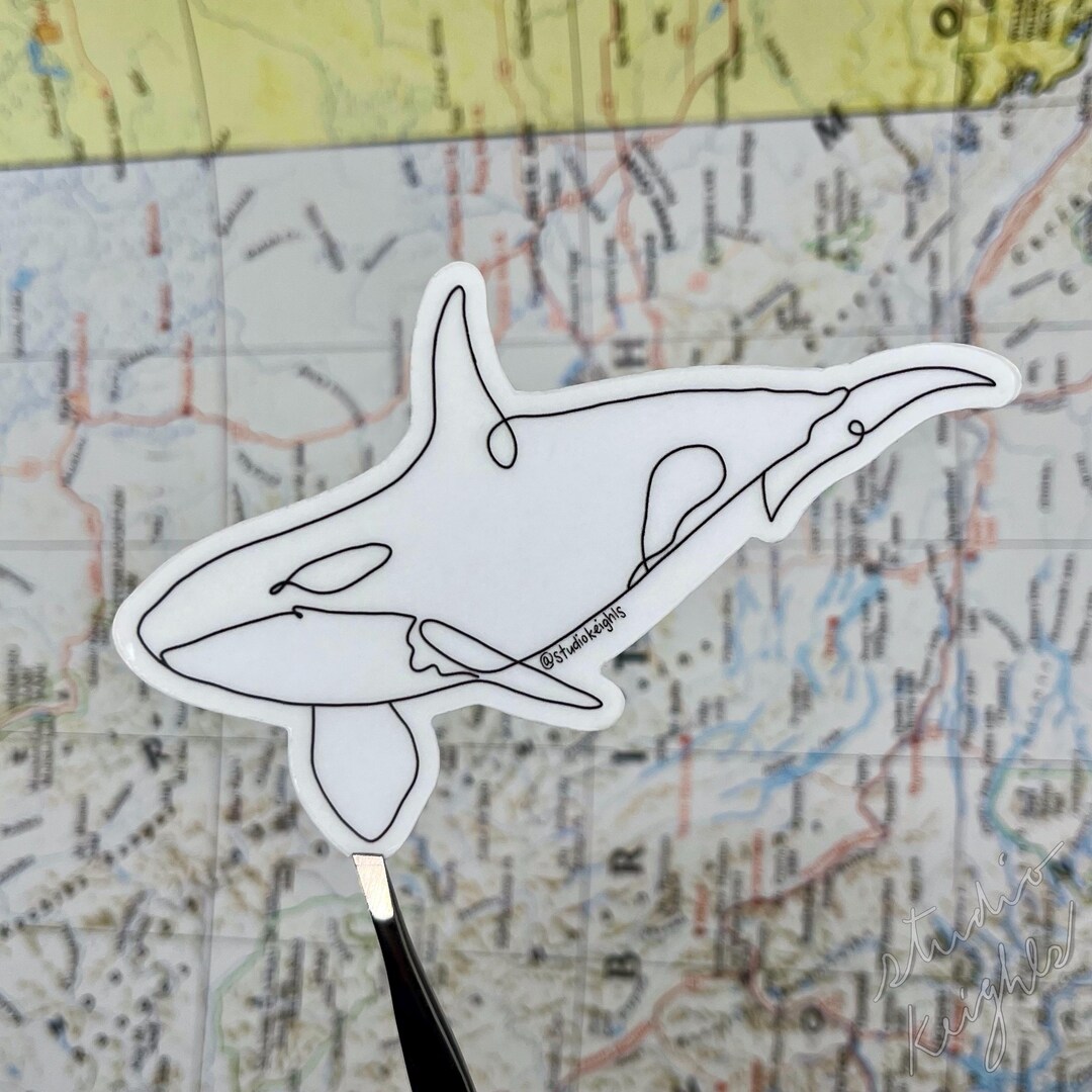 Orca Doodle Sticker | Vinyl Sticker | Orca Sticker | Whale Sticker ...