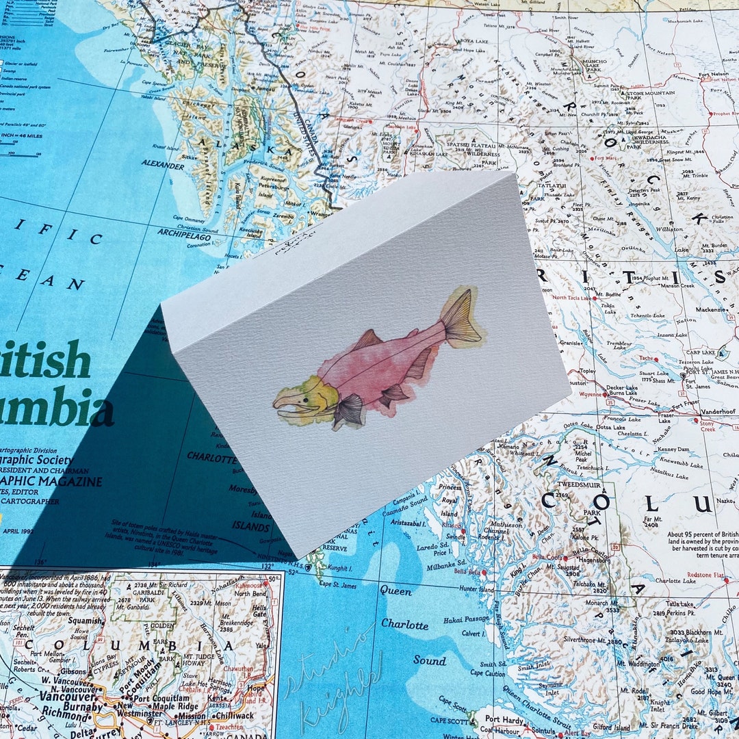 Watercolor Sockeye Salmon Card Printable Blank Card Watercolor Sockeye ...