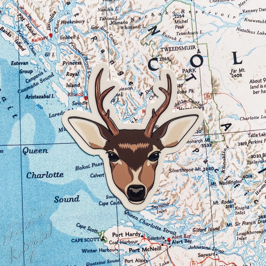 Buck Deer Sticker Vinyl Sticker Deer Sticker Waterbottle Sticker Laptop ...