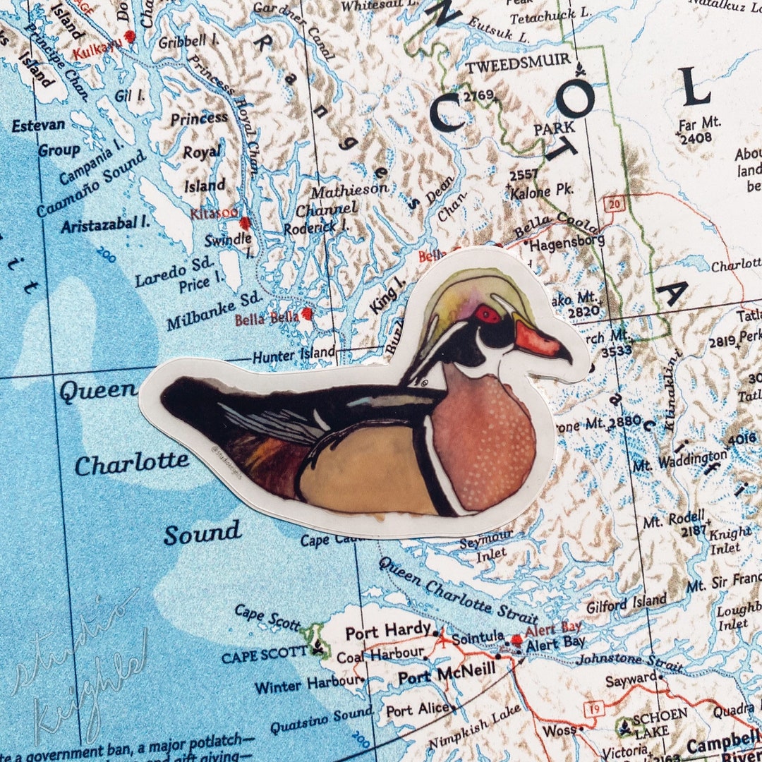 Watercolor Wood Duck Sticker | Transparent Vinyl Sticker | Laptop ...