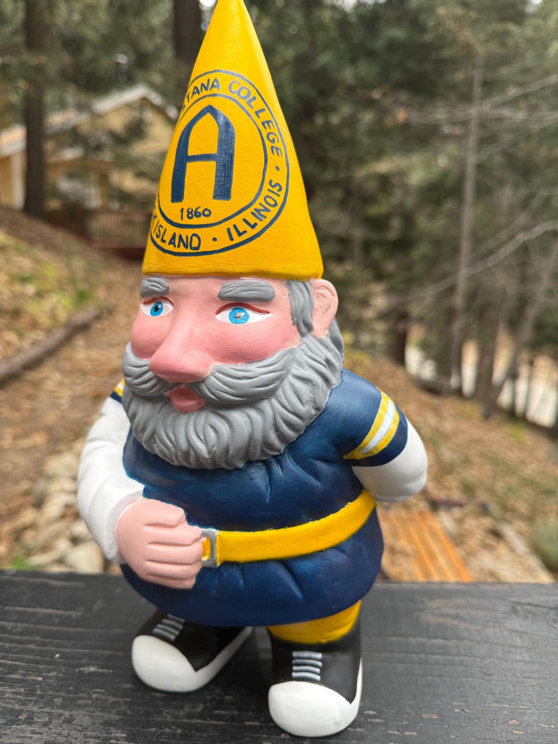 Custom 12” Augustana College Gnome - Etsy