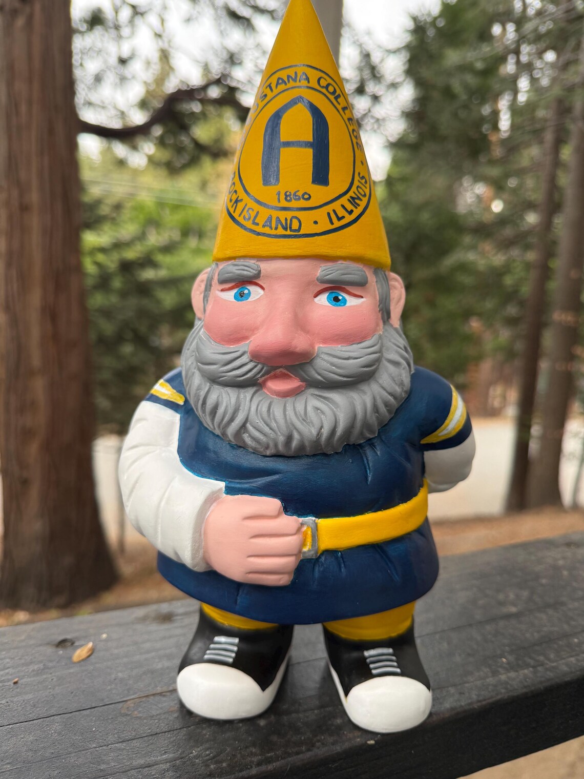 Custom 12” Augustana College Gnome - Etsy