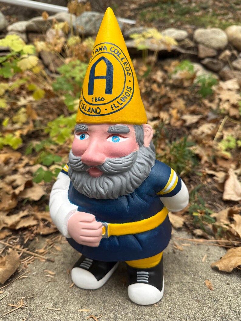 Custom 12” Augustana College Gnome - Etsy