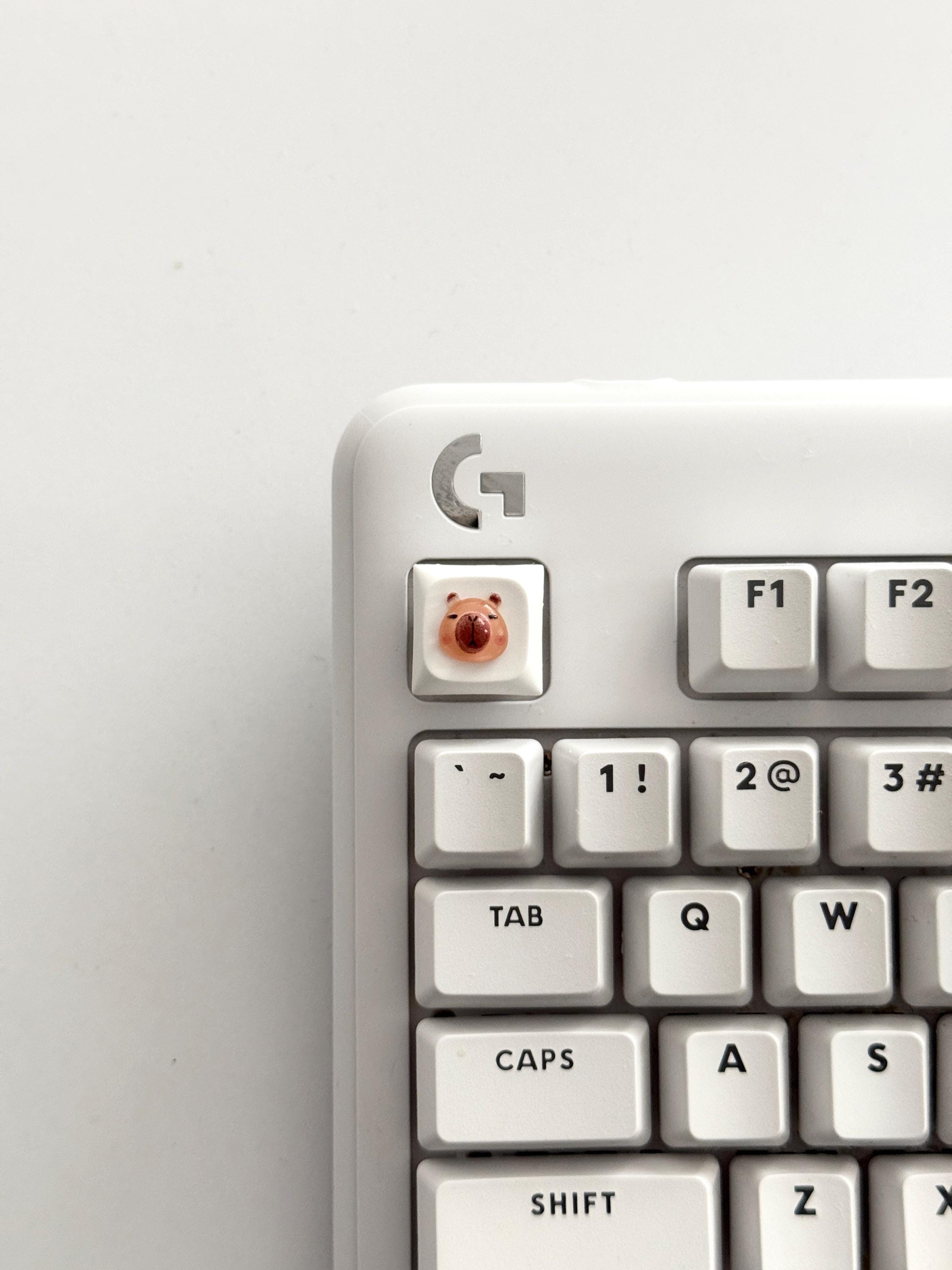 Cute Capybara PBT Mechanical Keycap - Etsy