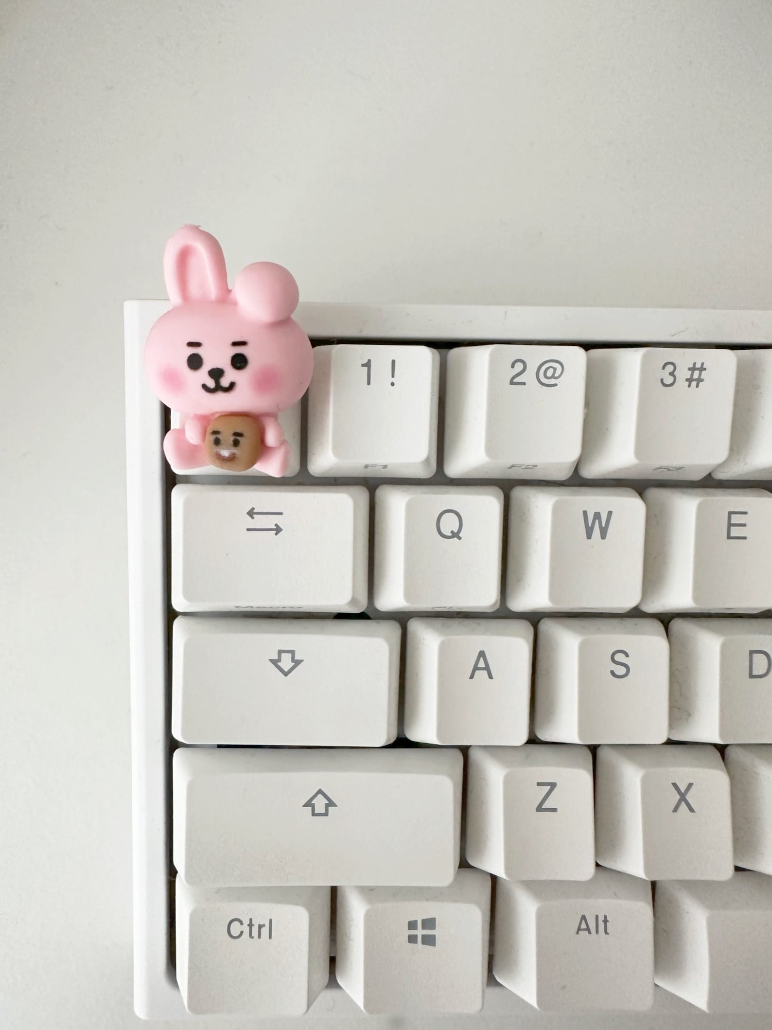 Cute BT21 BTS Cooky Jungkook PBT Mechanical Keycap - Etsy