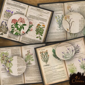 Digital Vintage Plant Reference Book Pages for Journals Scrapbooking ...
