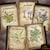 Digital Vintage Plant Reference Book Pages for Journals Scrapbooking ...