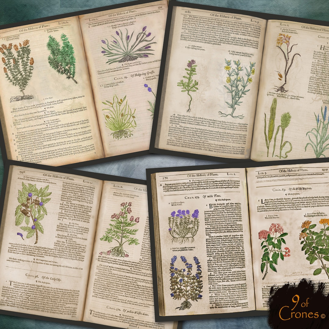 Digital Vintage Plant Reference Book Pages for Journals Scrapbooking ...