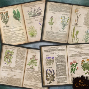 Digital Vintage Plant Reference Book Pages for Journals Scrapbooking ...