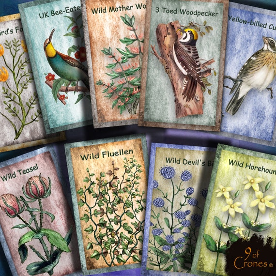 instant download. Vintage Garden Tea Cards for scrapbooking collages ...