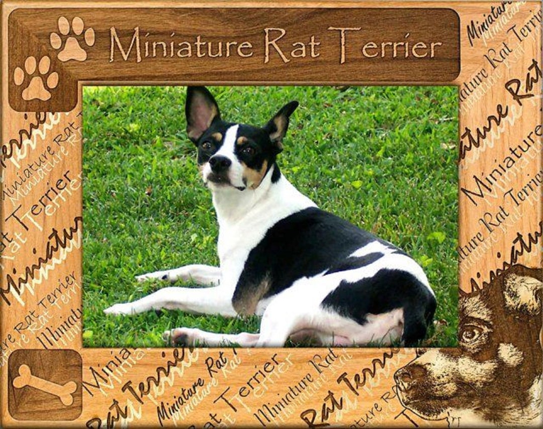 Miniature Rat Terrier Laser Engraved Wood Picture Frame - Etsy