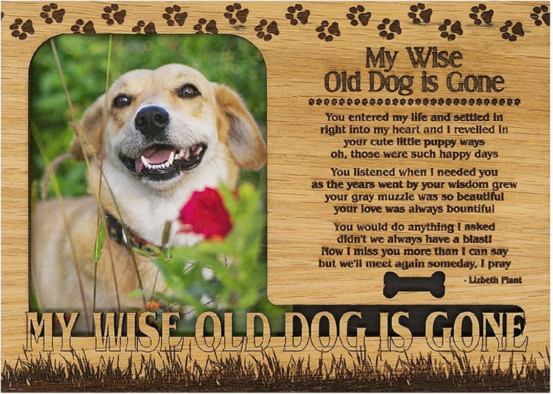 My Wise Old Dog is Gone Engraved Wood Picture Frame Magnet - Etsy