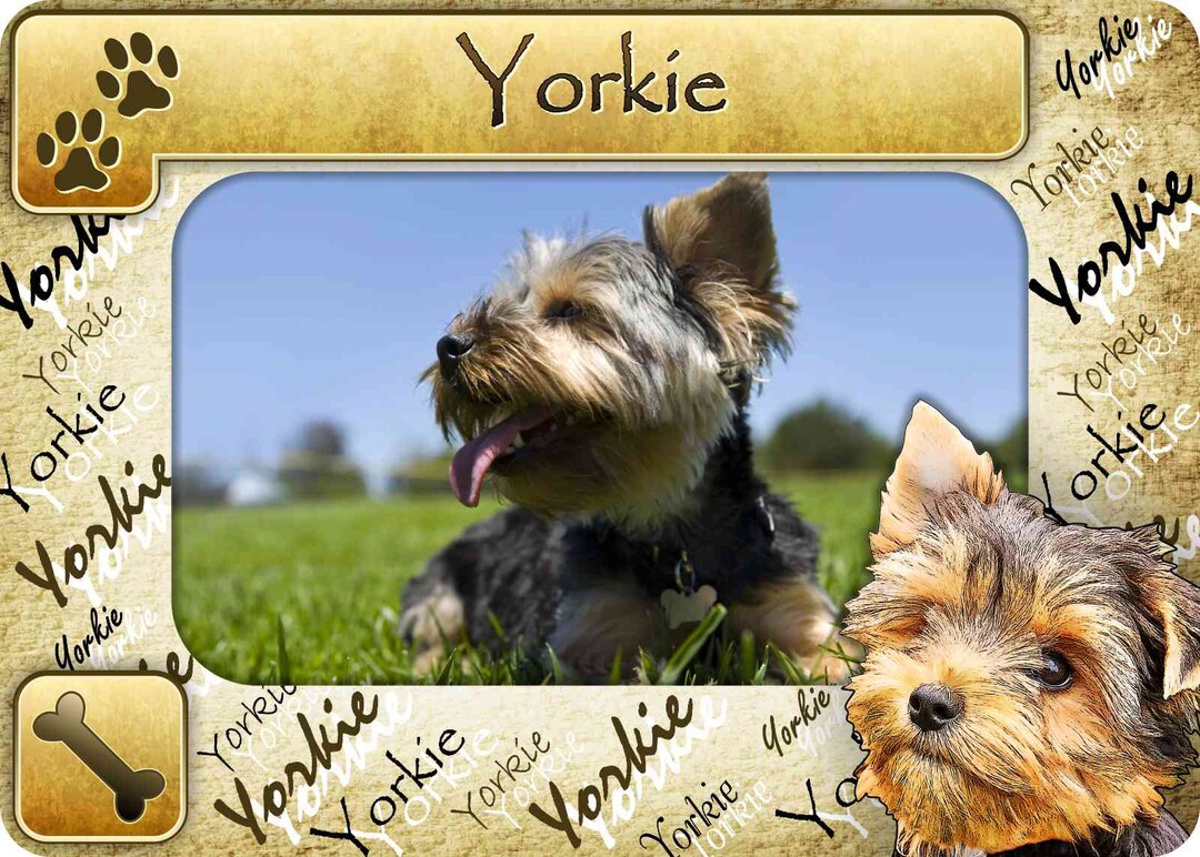 Yorkie Picture Frame Fridge Magnet - Etsy UK