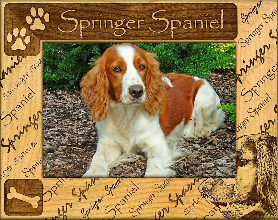 Springer Spaniel Laser Engraved Wood Picture Frame - Etsy