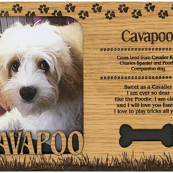 Cavapoo Picture Frame - Etsy