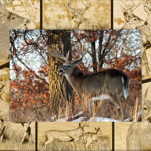 Deer Picture Frame - Etsy