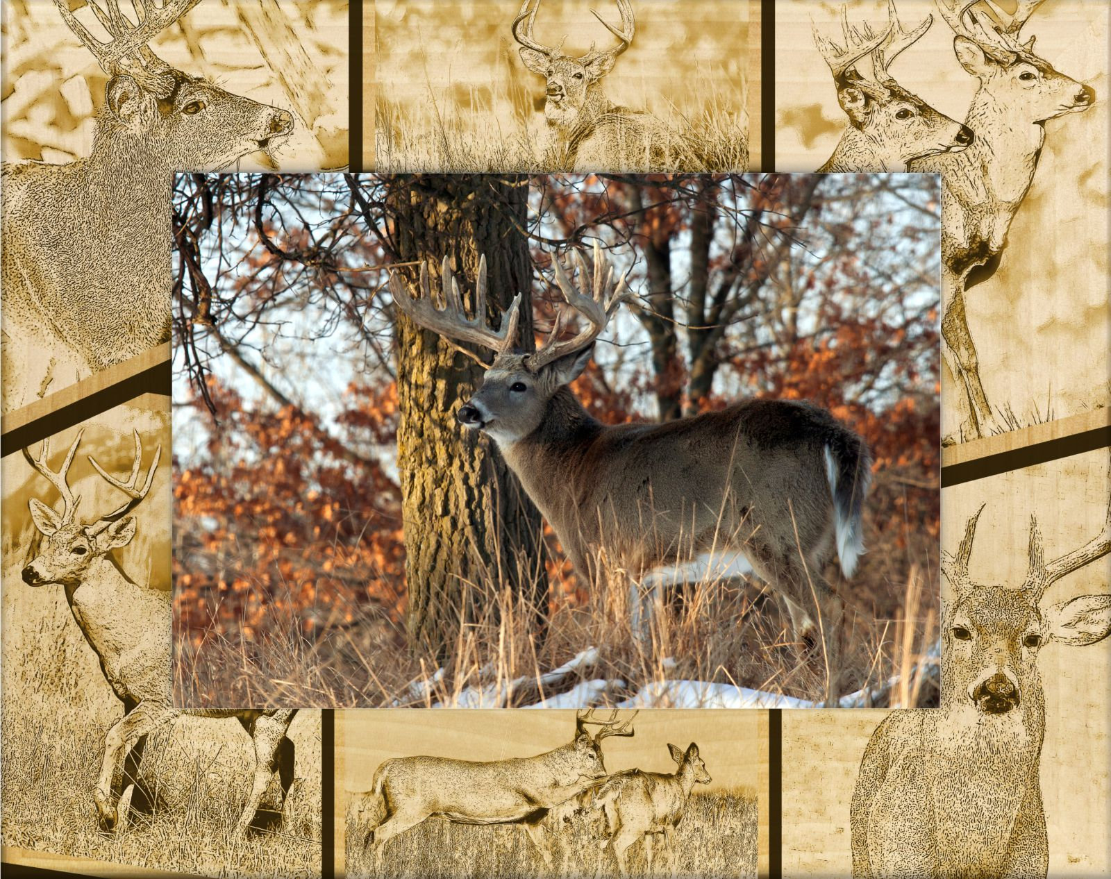 Whitetail Deer Laser Engraved Wood Picture Frame - Etsy