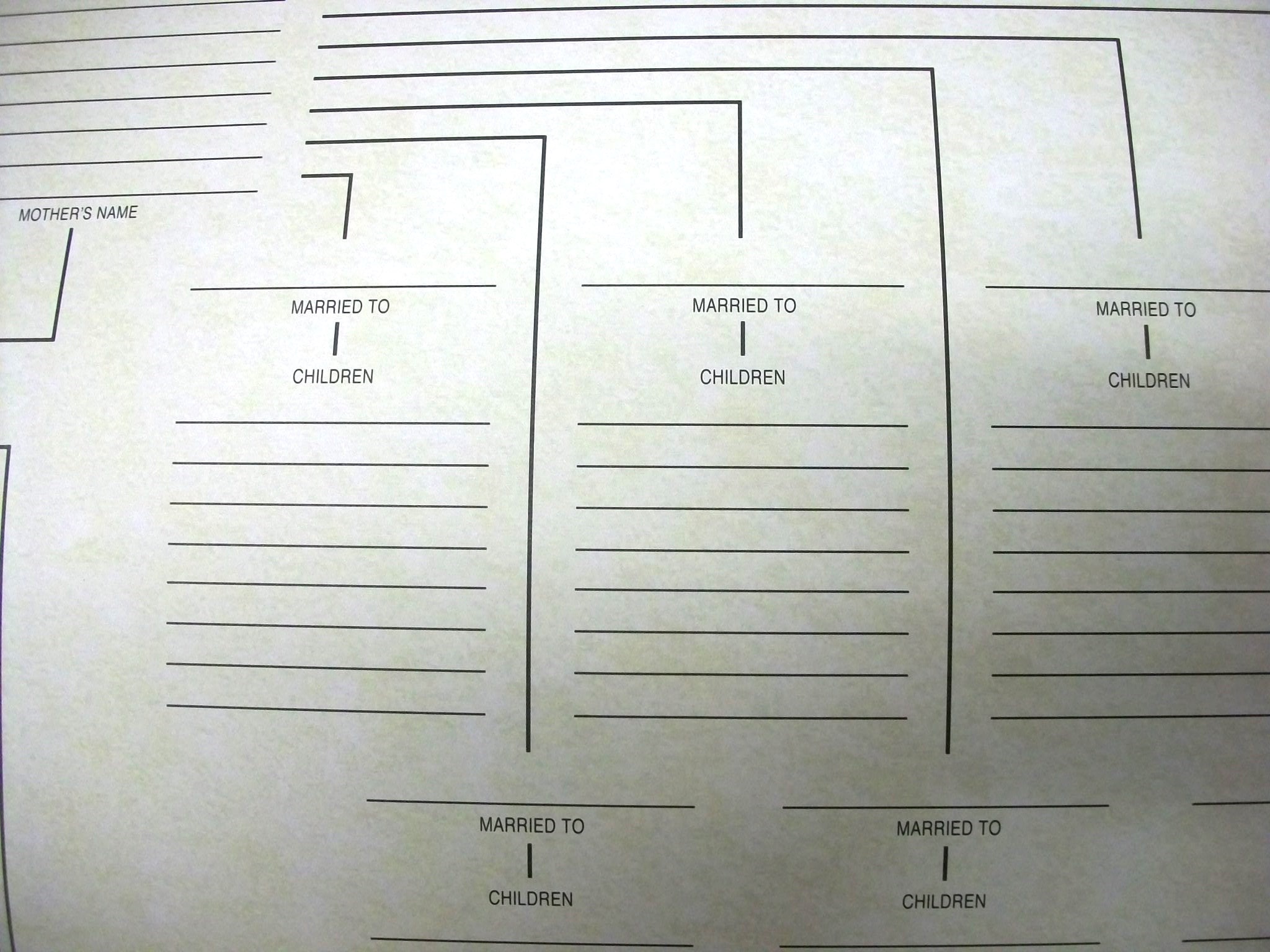 Family Tree Chart Genealogy - Etsy