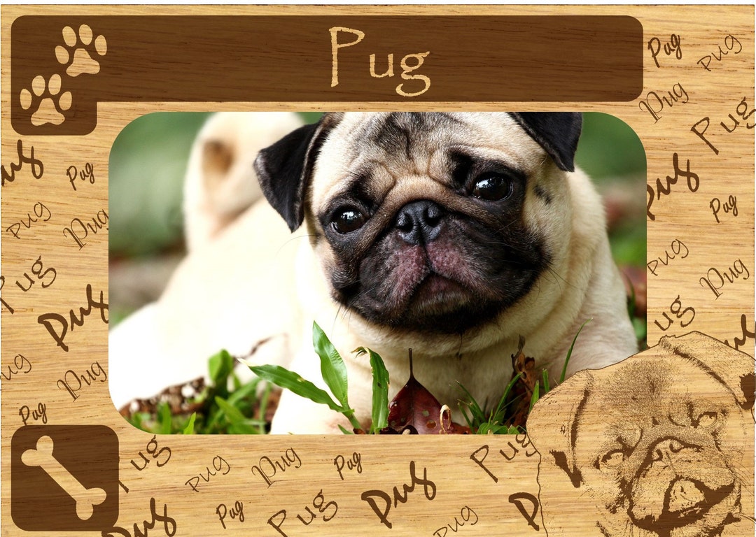 Pug W Paws Engraved Wood Picture Frame Magnet - Etsy