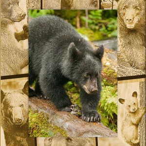 Black Bear Laser Engraved Wood Picture Frame - Etsy