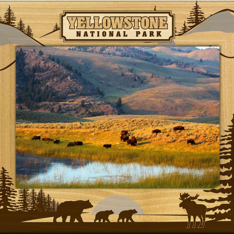 Moose Picture Framed - Etsy