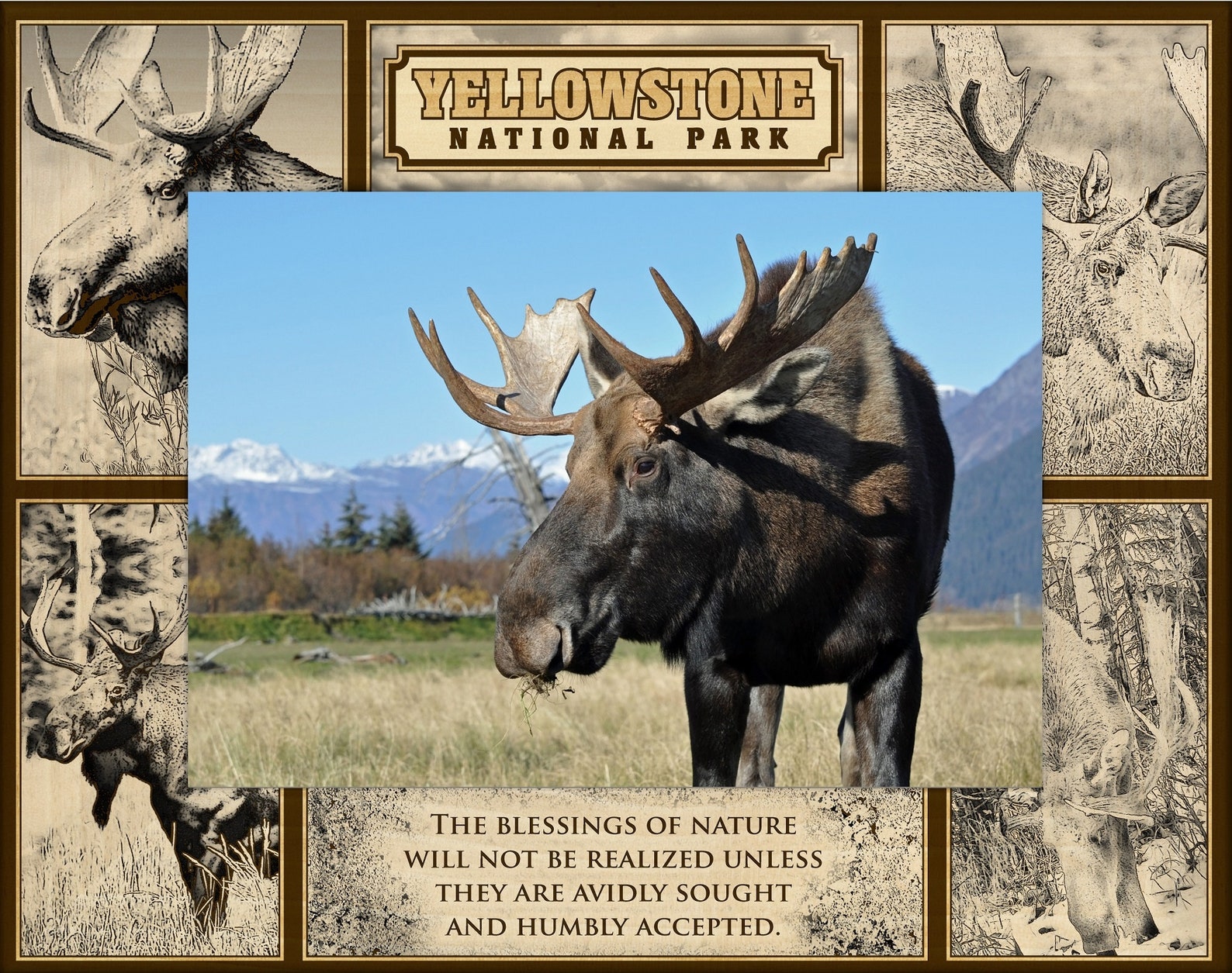 Yellowstone National Park Quad Style Laser Engraved Wood - Etsy