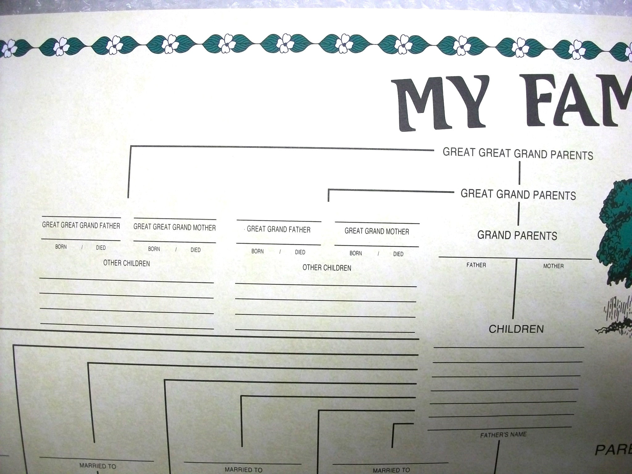 Family Tree Chart Genealogy - Etsy