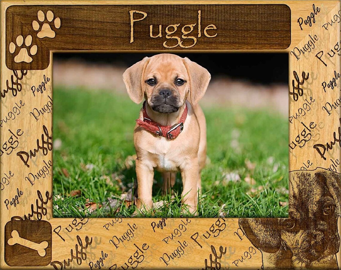 Puggle Laser Engraved Wood Picture Frame - Etsy