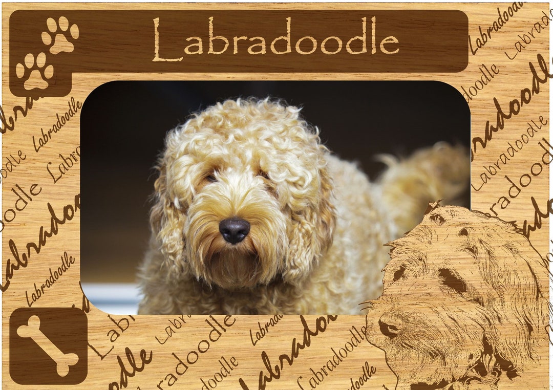 Labradoodle W Paws Engraved Wood Picture Frame Magnet - Etsy