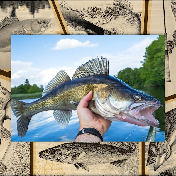 Fish Picture Frame - Etsy