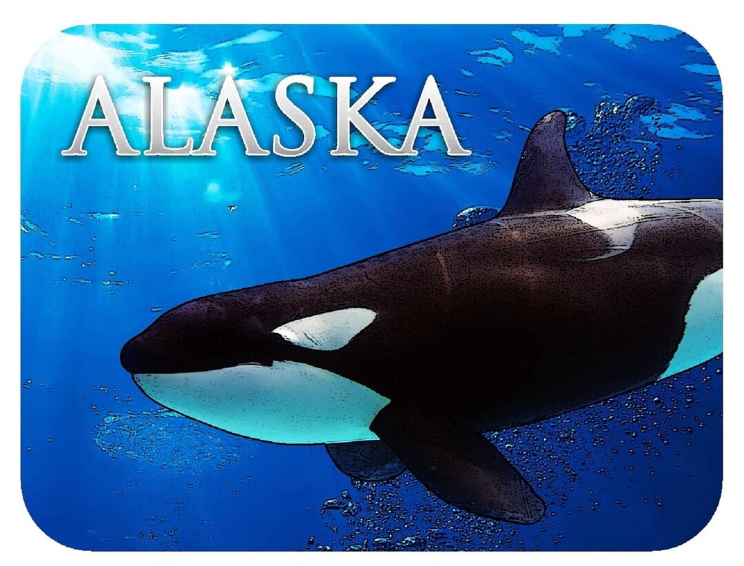 Alaska Fridge Magnet With Swimming Orca - Etsy