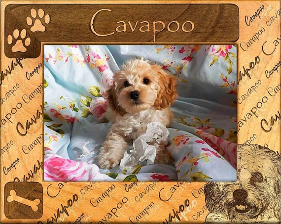 Cavapoo Laser Engraved Wood Picture Frame | Etsy