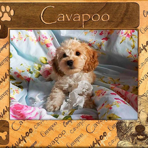 Cavapoo Picture Frame - Etsy