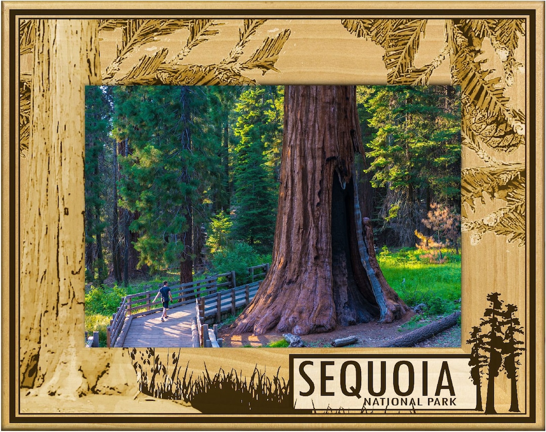 Sequoia National Park With Tree's Laser Engraved Wood Picture Frame - Etsy