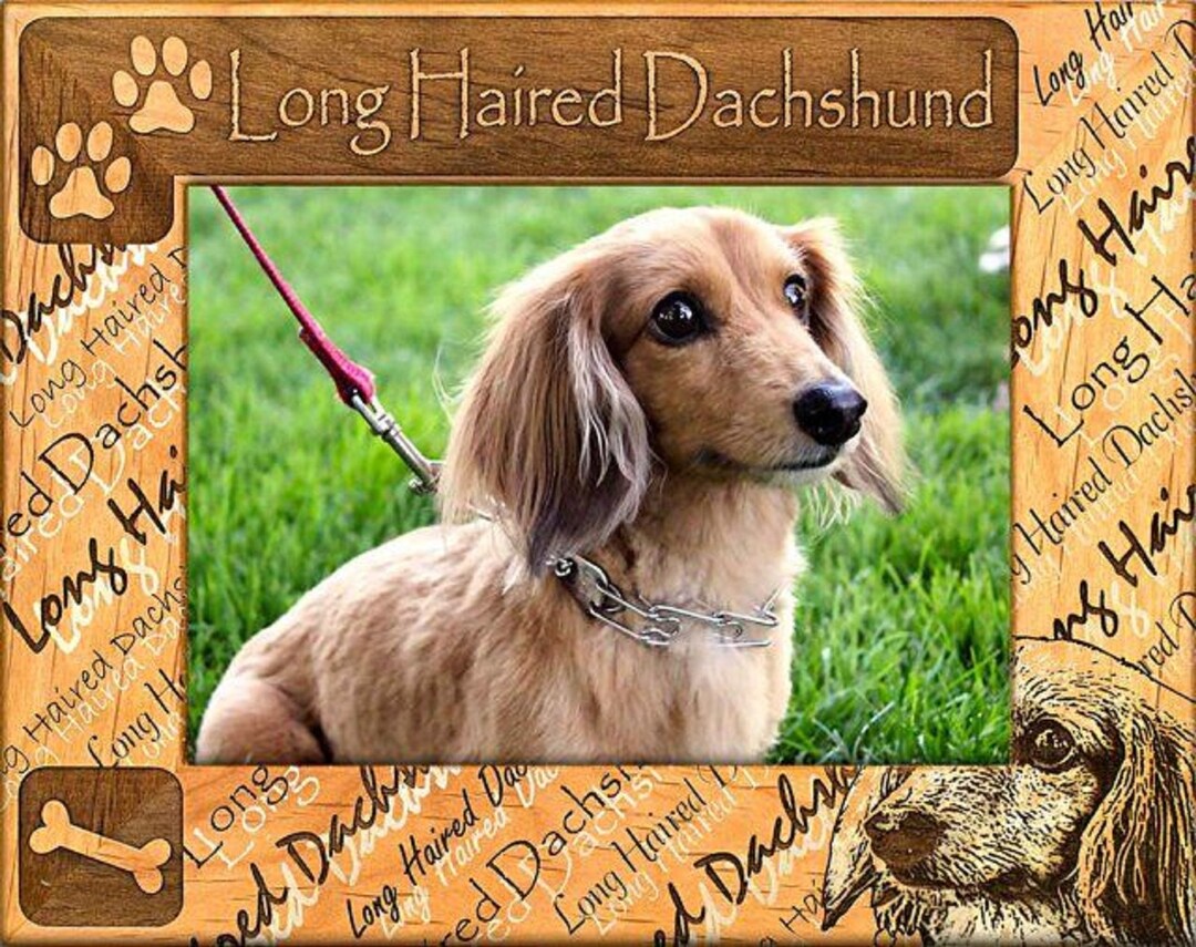 Long Haired Dachshund Laser Engraved Wood Picture Frame - Etsy