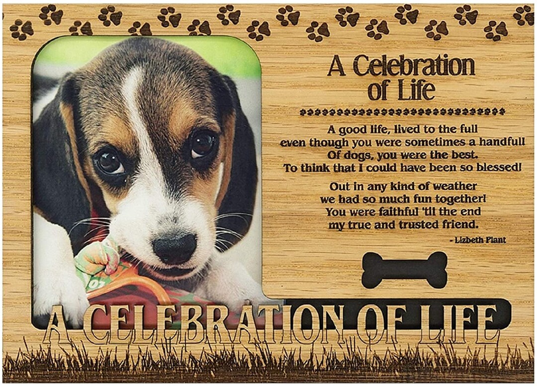 A Celebration of Life Pet Engraved Wood Picture Frame Magnet - Etsy