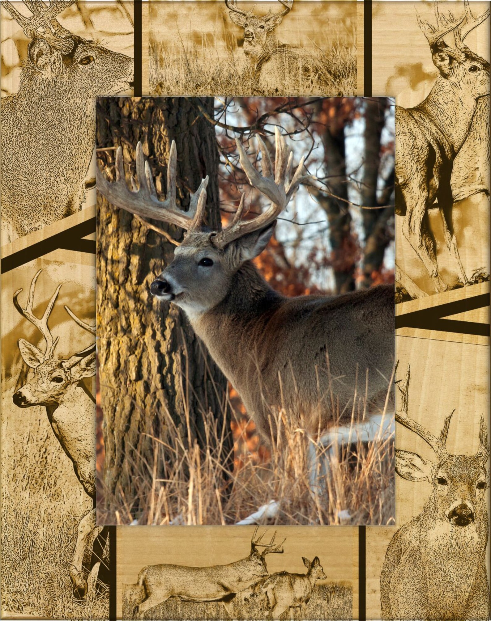 Whitetail Deer Laser Engraved Wood Picture Frame - Etsy