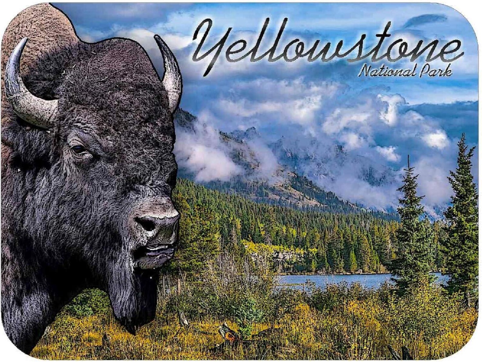 Yellowstone National Park With Bison Fridge Magnet - Etsy