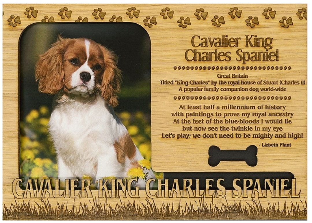 Cavalier King Charles Spaniel Engraved Wood Picture Frame Magnet - Etsy