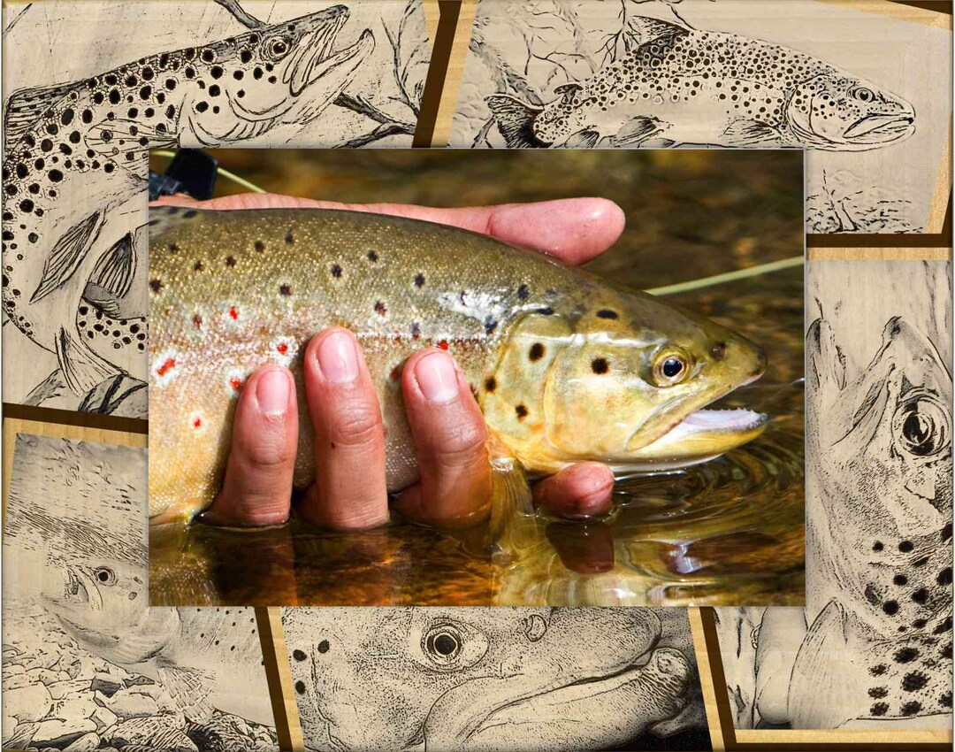 Trout Fishing Laser Engraved Wood Picture Frame - Etsy