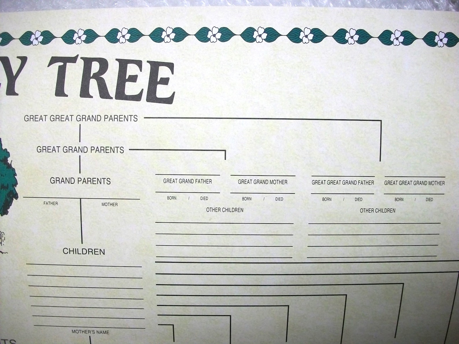 Family Tree Chart Genealogy - Etsy