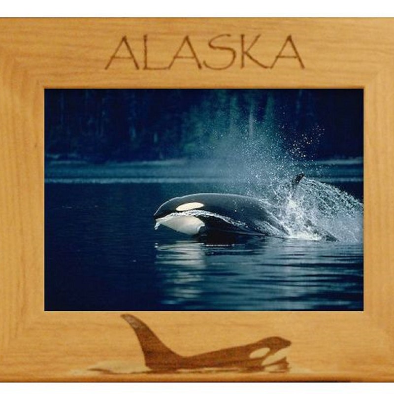 Whale Picture Frame - Etsy