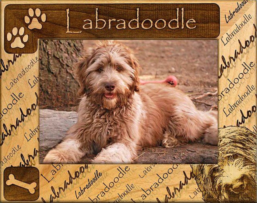 Labradoodle Laser Engraved Wood Picture Frame - Etsy