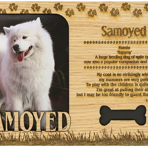 Samoyed - Etsy