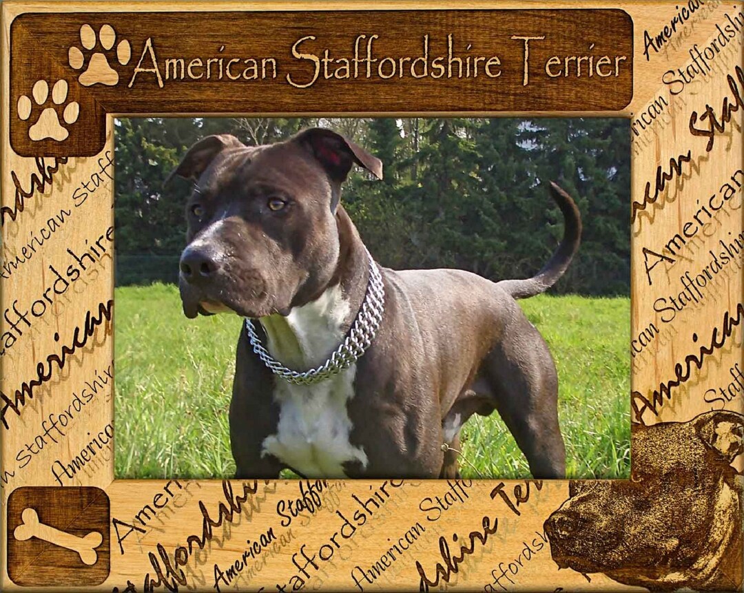 American Staffordshire Terrier Laser Engraved Wood Picture Frame - Etsy