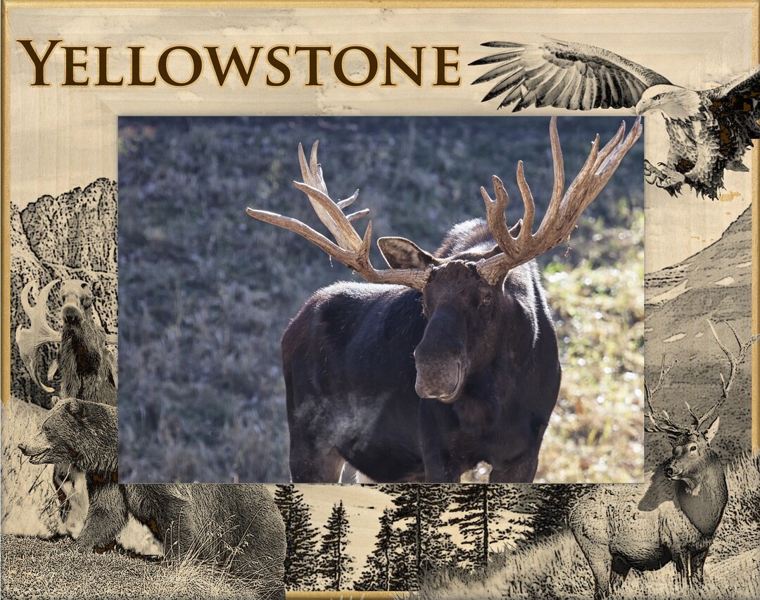 Yellowstone National Park Wildlife Laser Engraved Wood Picture Frame - Etsy