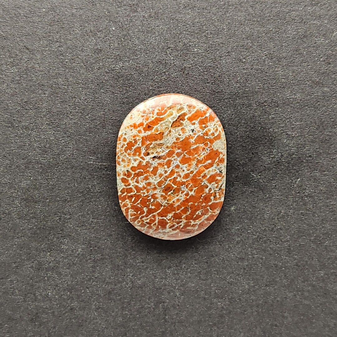 Dinosaur Bone Gembone Cabochon, Designer Cabochon, Hand Cut, Freeform ...