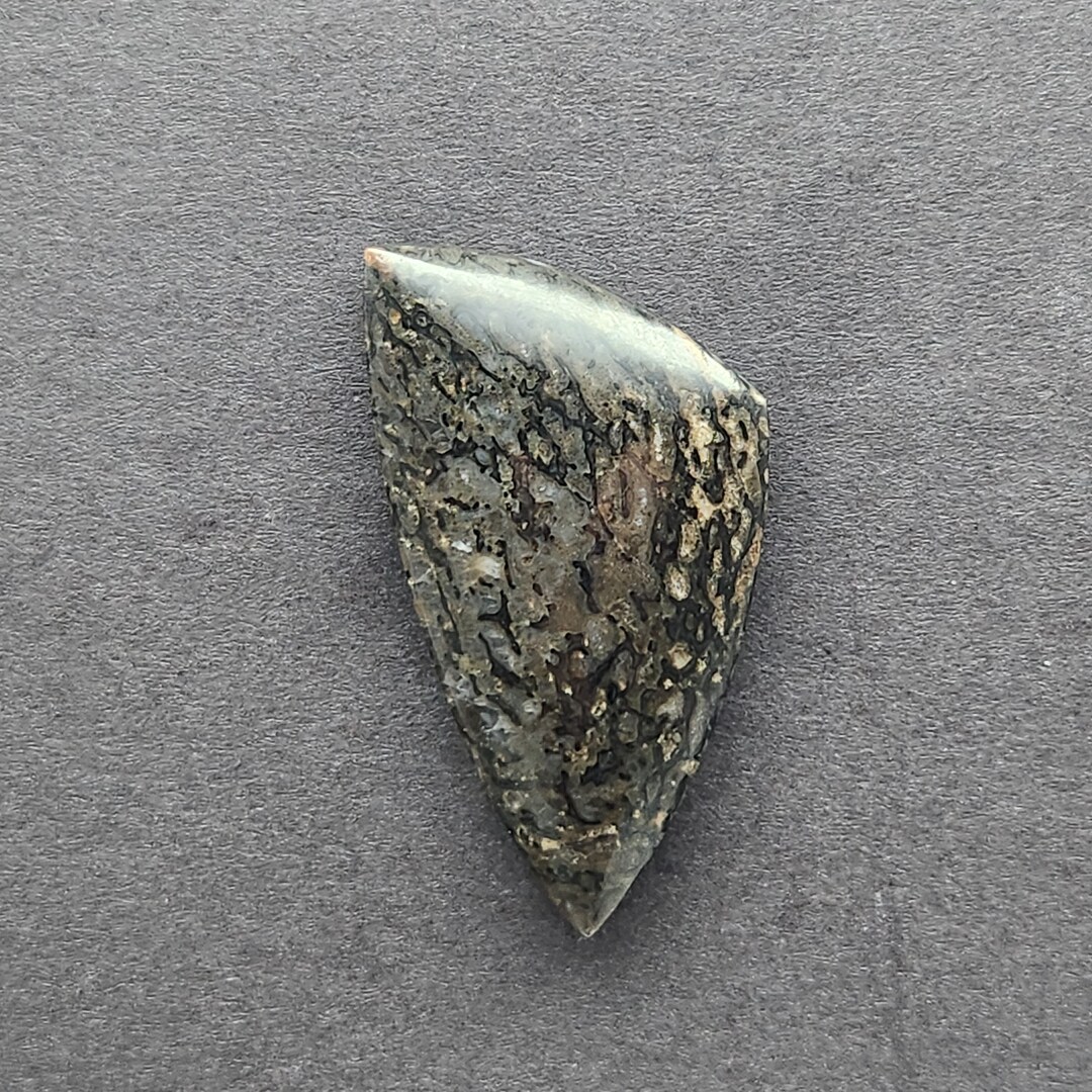 Dinosaur Bone Gembone Cabochon, Designer Cabochon, Hand Cut, Freeform ...