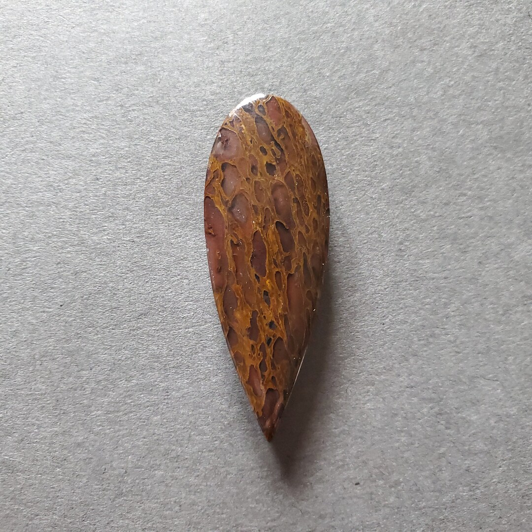 Dinosaur Bone Gembone Cabochon, Low Dome Cabochon, Designer Cabochon ...